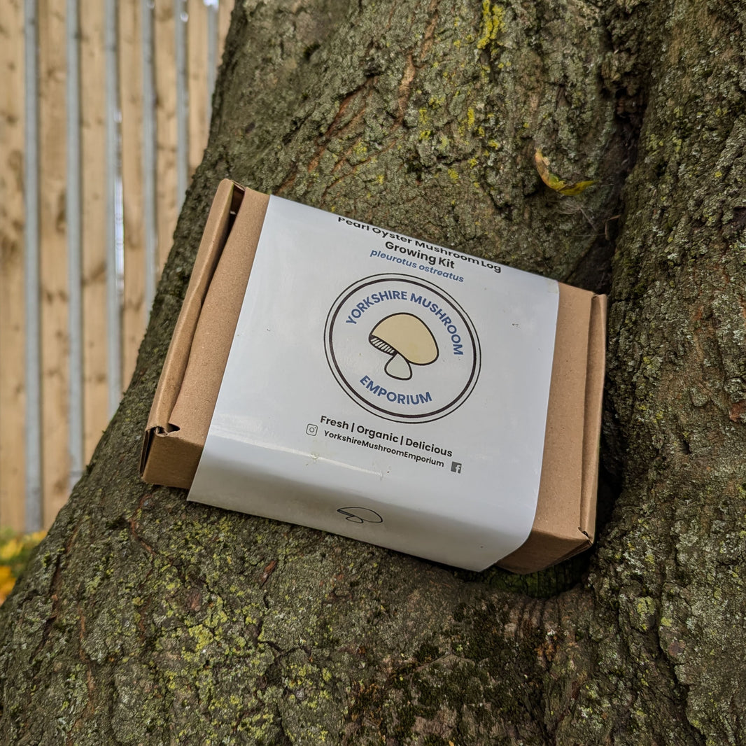 Mushroom Growing kits – Yorkshire Mushroom Emporium